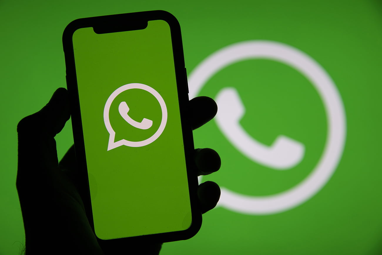 Grupo do zap - Revista Bula