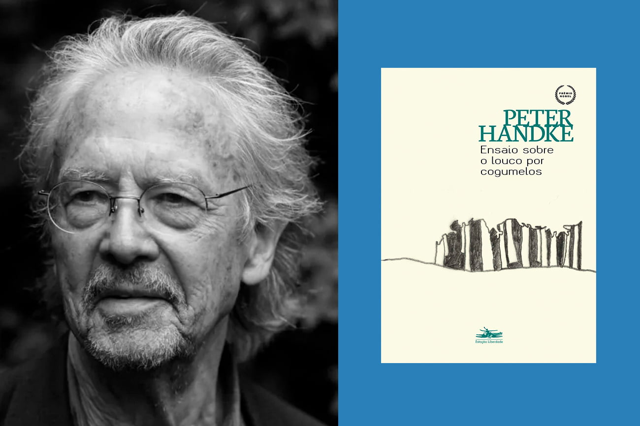 Bula de livro: Ensaio Sobre o Louco por Cogumelos, de Peter Handke ...