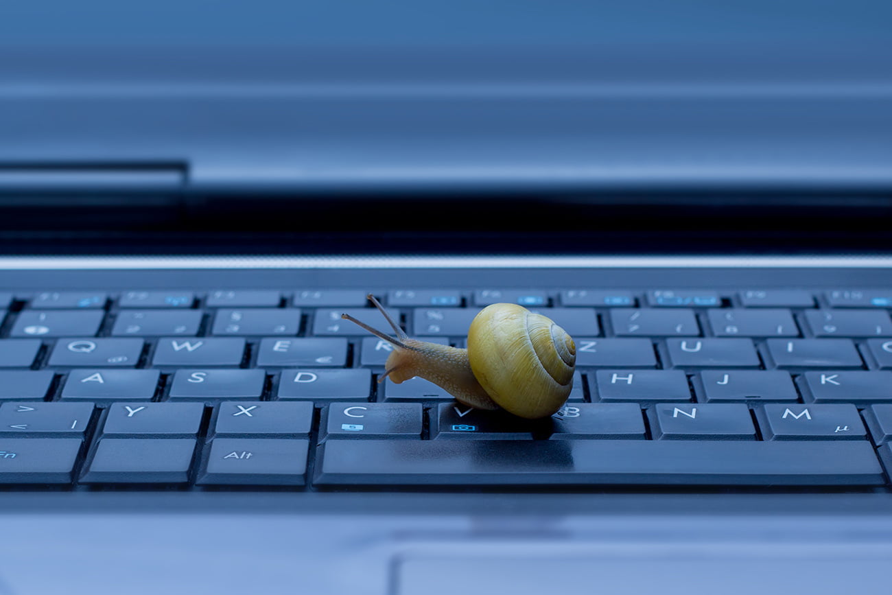 O sistema tá lento - Revista Bula