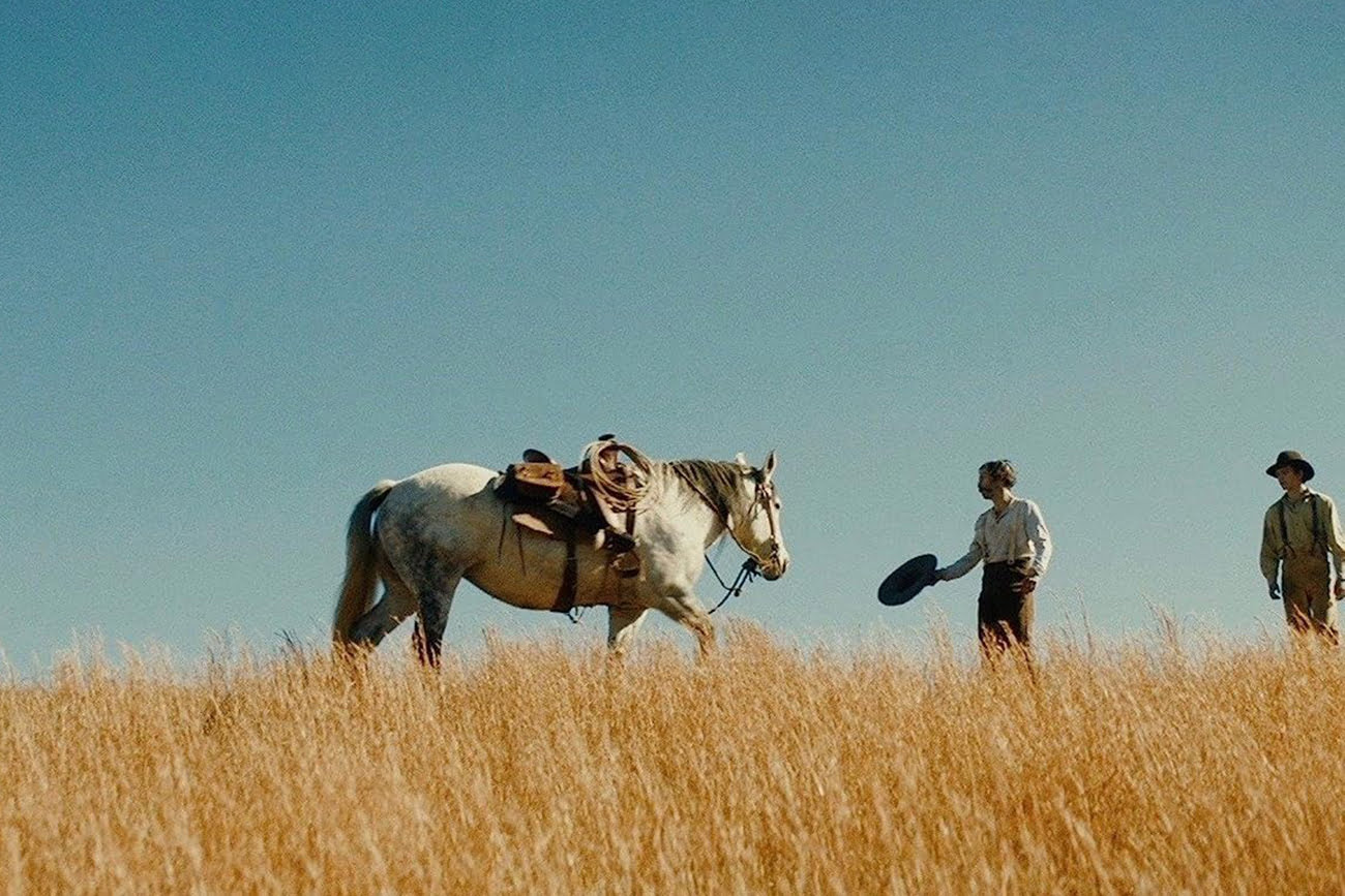 Os 60 melhores filmes do momento para assistir na Netflix em 2023 ...